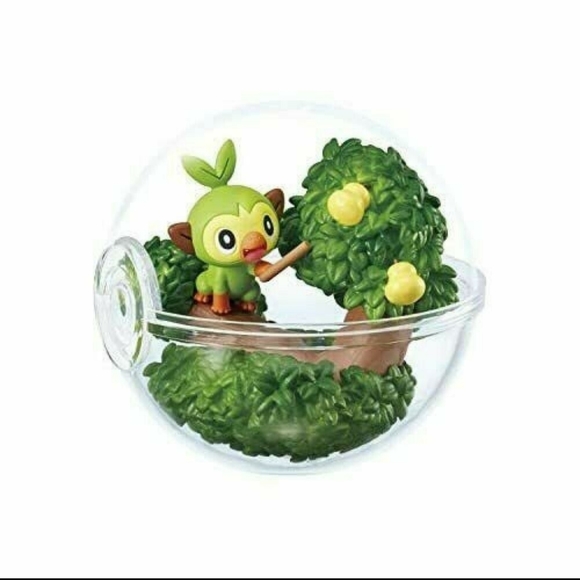 Pokemon | Toys | Pokemon Grookey Terrarium Ex Galas Collection 6 | Poshmark